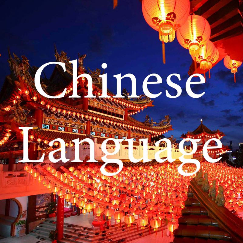 AP Chinese Language - Mater Dei Catholic Online Store